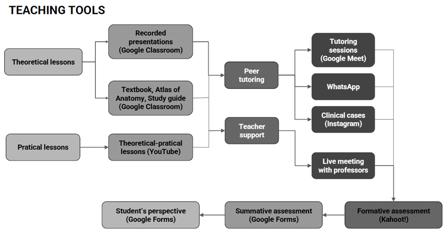 The teaching of anatomy during the Covid-19 pandemic